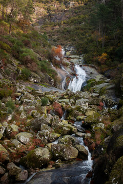 Bastos Images – Parcourir 633 le catalogue de photos, vecteurs et ...