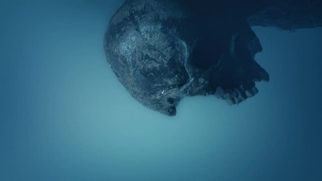 Fttb Images – Browse 488 Stock Photos, Vectors, and Video | Adobe Stock