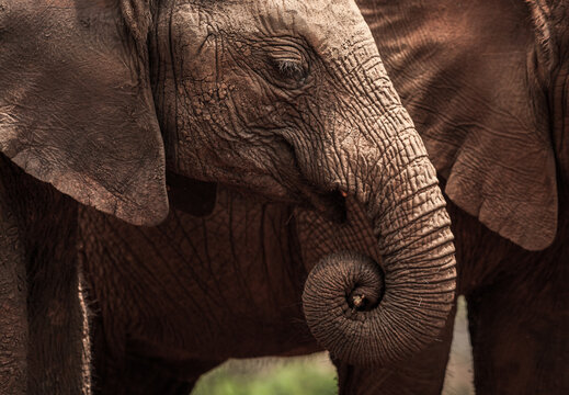 Frinkles Images – Browse 2 Stock Photos, Vectors, and Video | Adobe Stock