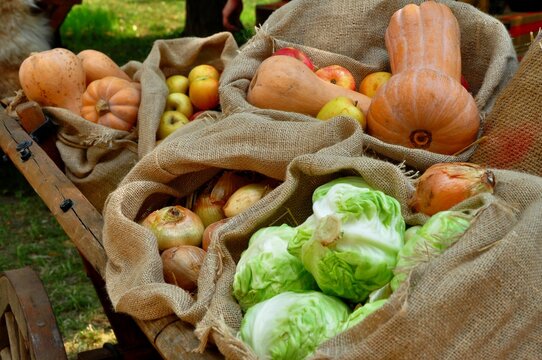 Replenish Images – Browse 4,435 Stock Photos, Vectors, and Video ...