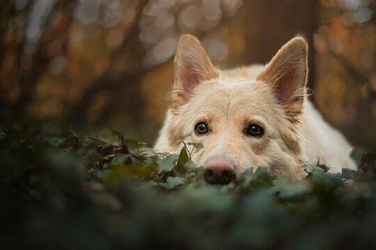 Fondling Images – Browse 5,376,037 Stock Photos, Vectors, and Video ...