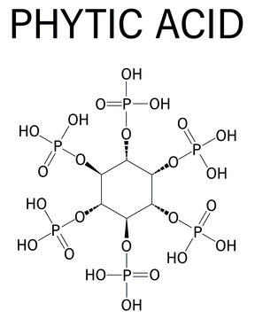 Ip6 Images – Browse 41 Stock Photos, Vectors, and Video | Adobe Stock