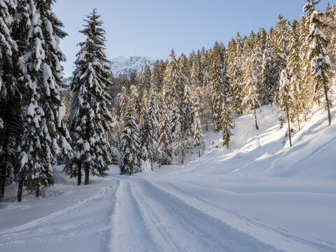 Innevato Bilder – Durchsuchen 13,624 Archivfotos, Vektorgrafiken und ...