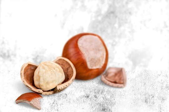 「Hard-Shell」の画像 - 1,647 件の Stock 写真、ベクターおよびビデオ | Adobe Stock
