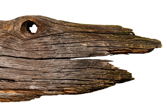 "Blank Placard" Images – Browse 1,290 Stock Photos, Vectors, and Video ...