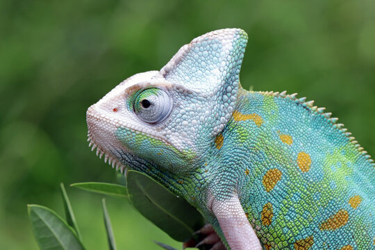 1,089,008 BEST Idn IMAGES, STOCK PHOTOS & VECTORS | Adobe Stock