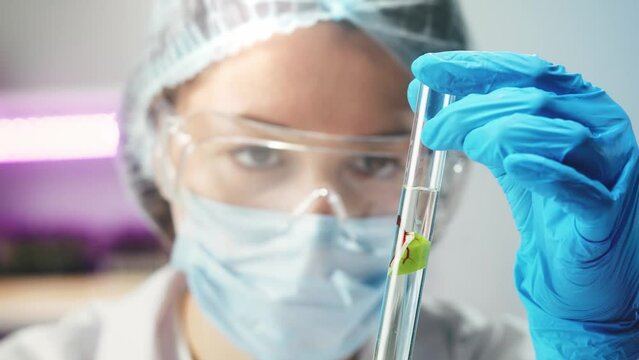 Lab-Grown Images – Browse 1,103 Stock Photos, Vectors, and Video ...