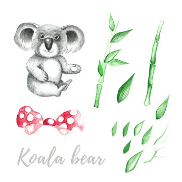 รูปภาพCoala – เลือกดูภาพถ่ายสต็อก เวกเตอร์ และวิดีโอ955 | Adobe Stock