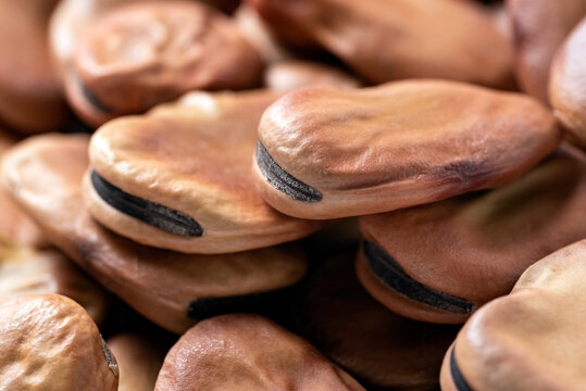 Favabohne Bilder – Durchsuchen 23,215 Archivfotos, Vektorgrafiken und ...