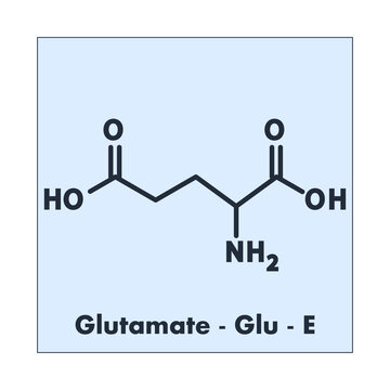 Glutamate Imagens – Procure 3,535 fotos, vetores e vídeos | Adobe Stock