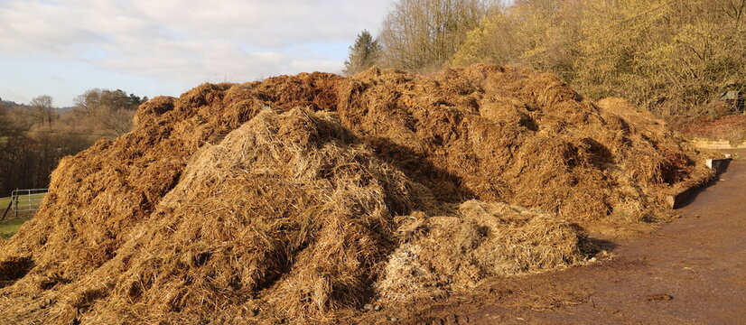 "Dung Heap"-Bilder: Stock-Fotos & -Videos. | Adobe Stock