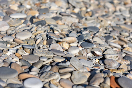 รูปภาพCaillasse – เลือกดูภาพถ่ายสต็อก เวกเตอร์ และวิดีโอ1,651 | Adobe Stock