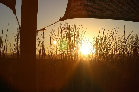 Sol 이미지 – 찾아보기 315,654 스톡 사진, 벡터 및 비디오 | Adobe Stock