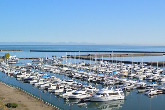 Nobu-Oh photos, images, assets | Adobe Stock