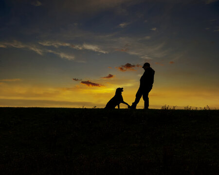 Affectionate Images – Browse 525,485 Stock Photos, Vectors, and Video ...