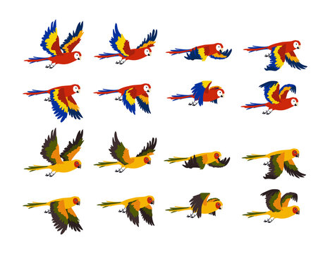 Sprite Sheet Animal Images – Browse 24,264 Stock Photos, Vectors, and ...