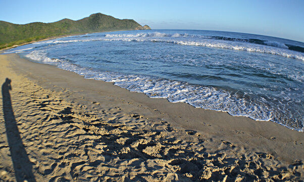 Imágenes de Patanemo: descubre bancos de fotos, ilustraciones, vectores ...