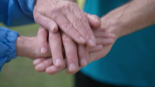 Handstack Images – Browse 194 Stock Photos, Vectors, and Video | Adobe Stock