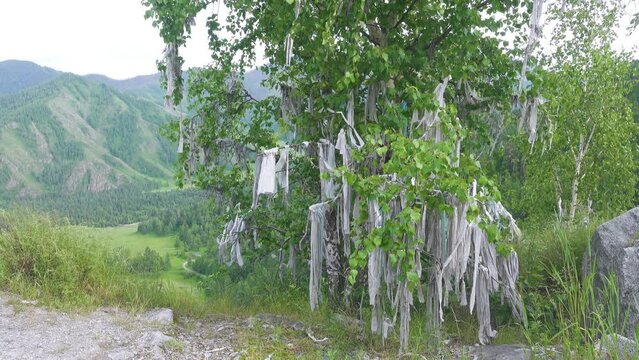 Idolatry Video Footage – Browse 149 HD Stock Video and Footage | Adobe ...