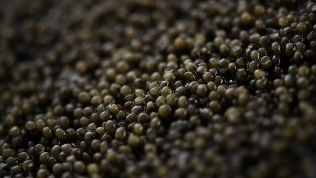 Caviar Texture Images – Browse 10,242 Stock Photos, Vectors, and Video ...