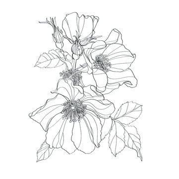 รูปภาพFructify – เลือกดูภาพถ่ายสต็อก เวกเตอร์ และวิดีโอ580 | Adobe Stock