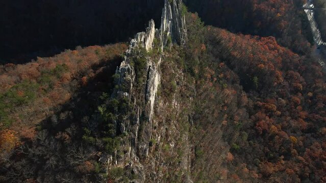 รูปภาพSeneca – เลือกดูภาพถ่ายสต็อก เวกเตอร์ และวิดีโอ2,183 | Adobe Stock