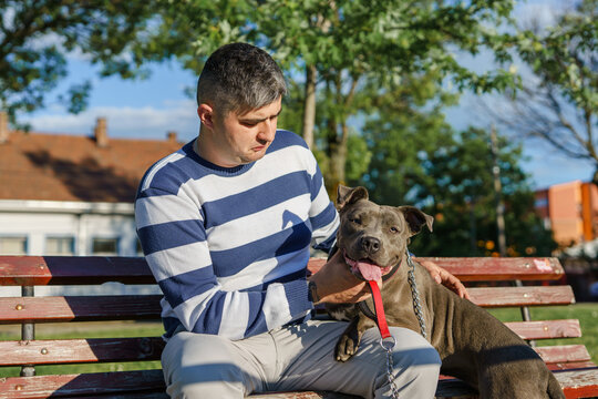 รูปภาพApbt – เลือกดูภาพถ่ายสต็อก เวกเตอร์ และวิดีโอ8,507 | Adobe Stock