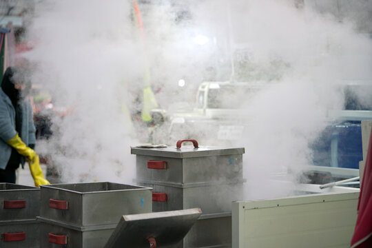 Mayor bilder – Bläddra bland 50,540 stockfoton, vektorer och videor ...