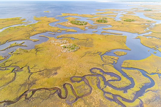 รูปภาพBriny – เลือกดูภาพถ่ายสต็อก เวกเตอร์ และวิดีโอ21,435 | Adobe Stock