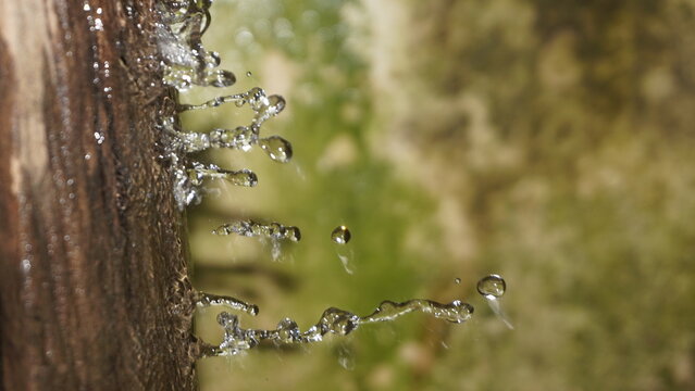 "Fast Shot" Images – Browse 81 Stock Photos, Vectors, and Video | Adobe ...