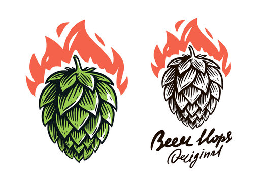 Beer Hops Logo Craft Beer Logo Designs, Themes, Templates And