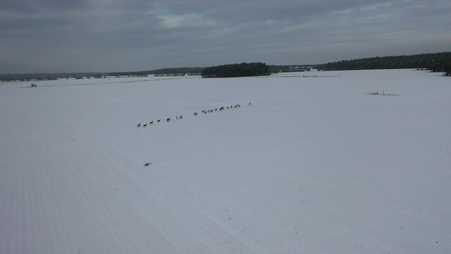 K4 Bilder – Durchsuchen 303 Archivfotos, Vektorgrafiken und Videos ...