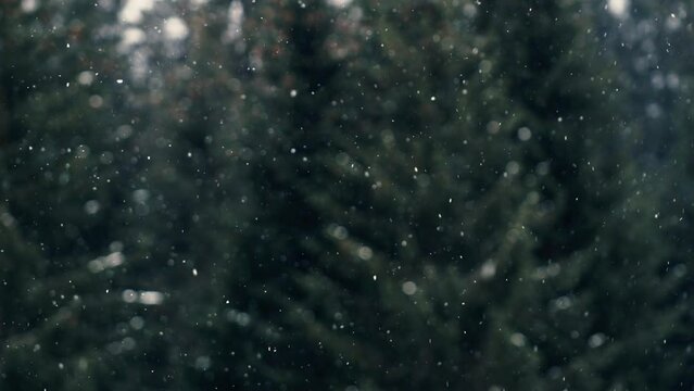 "Flocons De Neige" Images – Browse 1,729 Stock Photos, Vectors, and ...