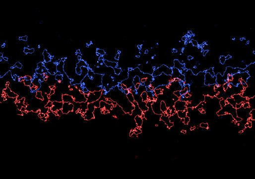 Redlining Images – Parcourir 33,303 le catalogue de photos, vecteurs et ...