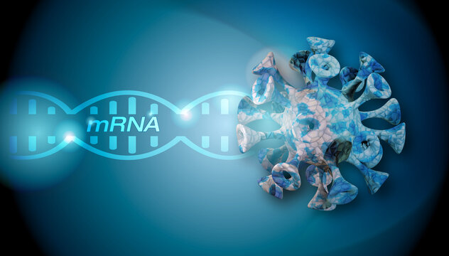 Mrna bilder – Bläddra bland 3,294 stockfoton, vektorer och videor ...