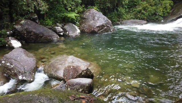 Marimbondo Immagini - Sfoglia 244 foto, vettoriali e video Stock ...