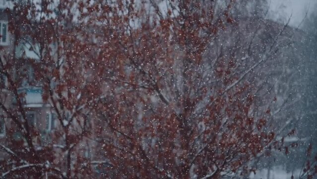 Snow Falling Tumblr Background