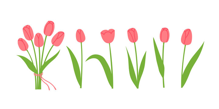 Spring Tulips Clipart