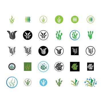 Algae Logo Bilder – Durchsuchen 4,162 Archivfotos, Vektorgrafiken und ...