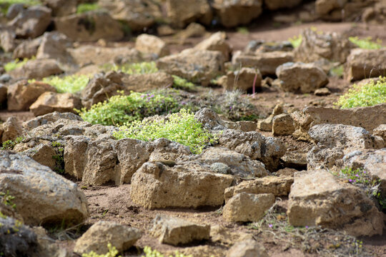 「Erobern」の画像 - 697 件の Stock 写真、ベクターおよびビデオ | Adobe Stock