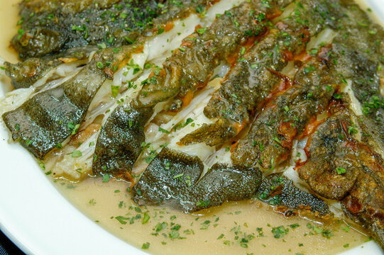 Rodaballo Bilder – Durchsuchen 79 Archivfotos, Vektorgrafiken und ...