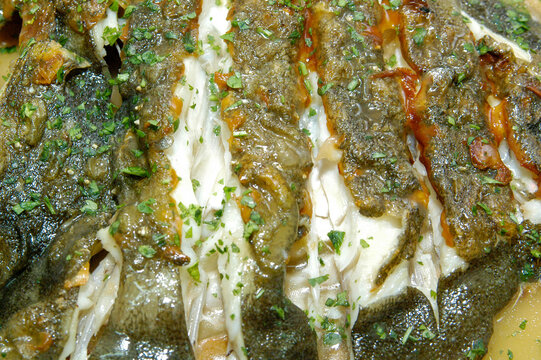 Rodaballo Bilder – Durchsuchen 79 Archivfotos, Vektorgrafiken und ...