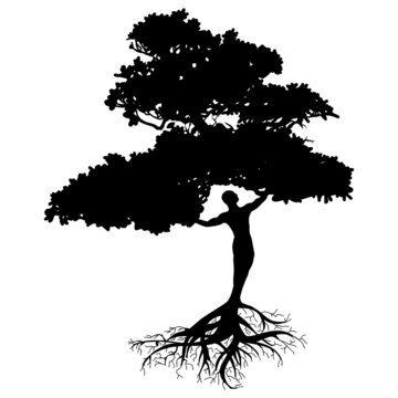 Tree Of Life Fitness Images – Browse 13,751 Stock Photos, Vectors, and ...