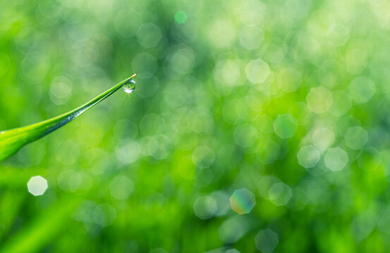 Purity Images – Browse 1,162,038 Stock Photos, Vectors, and Video ...