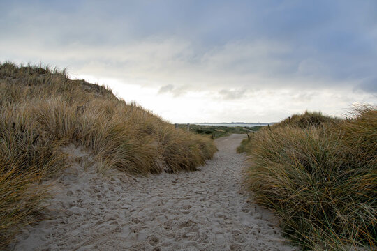 Sandweg Bilder – Durchsuchen 1,179 Archivfotos, Vektorgrafiken und ...