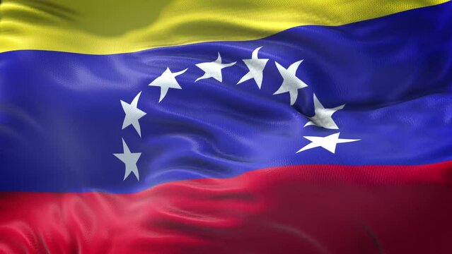"Venezuelan Flag" Images – Browse 2,024 Stock Photos, Vectors, and ...