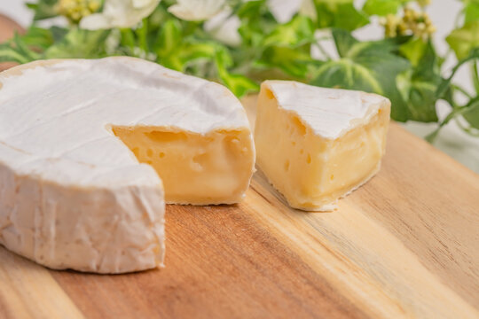 白カビ Images – Browse 556 Stock Photos, Vectors, and Video | Adobe Stock