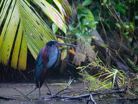 รูปภาพAgami – เลือกดูภาพถ่ายสต็อก เวกเตอร์ และวิดีโอ141 | Adobe Stock