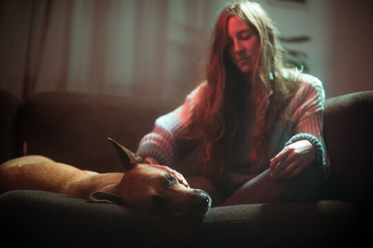 Hur Images – Browse 2,665,657 Stock Photos, Vectors, and Video | Adobe ...