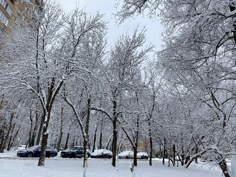 Khrushchevka Bilder – Durchsuchen 420 Archivfotos, Vektorgrafiken und ...